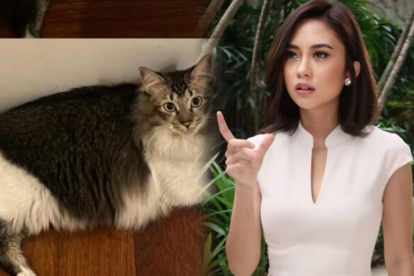 Rizman Ruzaini diarah bayar Intan Najuwa RM1.3 juta sebelum 15 Januari